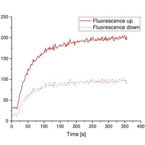 Hybridization Of Dna The Injection Of Complementary Dna Leads To An Download Scientific