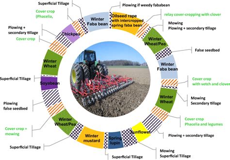 Agricultural Revolution Crop Rotation Seven Practices Of Sustainable