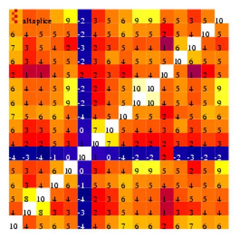 Heat Map Illustrating Correlation Coefficients Between Every Pair Of