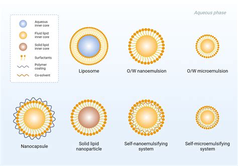 Lipid Based Nanocarriers In Oral Drug Delivery Biorender Science