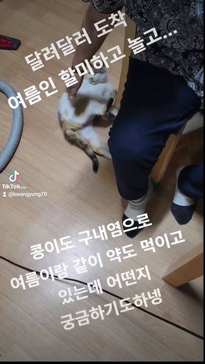 2주만에 애들 보러 왔어요폭우도 오고 난리였다는데 다들 무사히 잘지내고 있네요반가워♥︎♥︎ Youtube