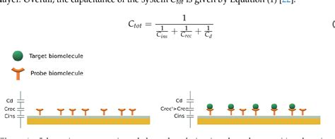 Figure 1 From Design And Preparation Of Sensing Surfaces For Capacitive Biodetection Semantic