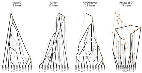 Node Type Classification Issue Tskit Dev What Is An Arg Paper GitHub