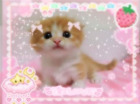 130 Cutecore Ideas In 2025 Kawaii Core Cute Icons Cute Wallpapers