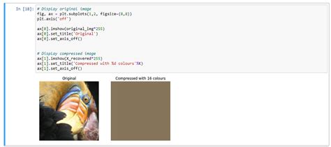 C3 Week1 Lab 1 Compressed Image Does Not Show Unsupervised Learning