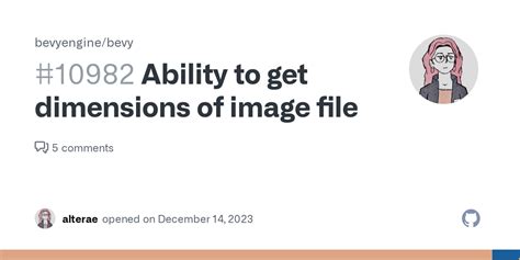 ability to get dimensions of image file · issue 10982 · bevyengine