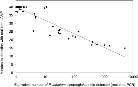 Real Time Pcr And Lamp Assays For The Detection Of Spores Of Alternaria Solani And Sporangia Of