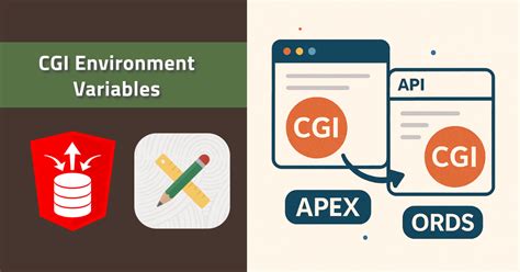 Apex And Ords Cgi Environment Variables