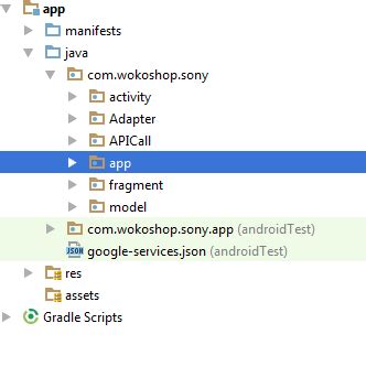 Android Build Error File Google Services Json Is Missing From Module Root Folder The Google