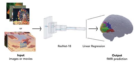 GitHub Dpmlab Img Fmri A Python Package For Predicting Group Level FMRI Responses To Visual