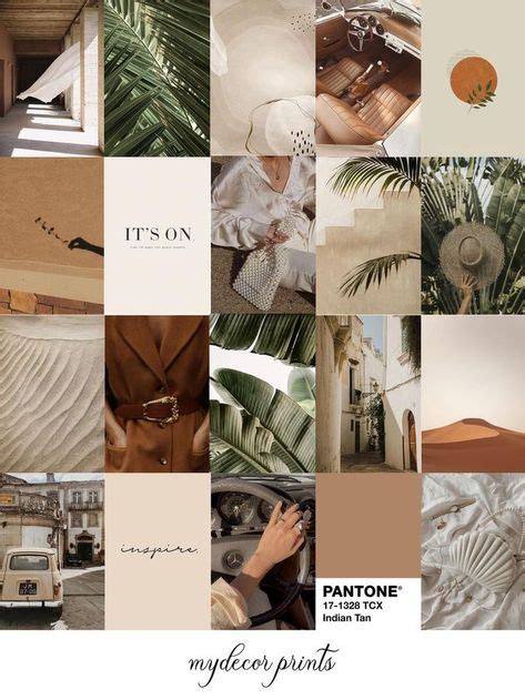 Color Pallet Ideas In Color Colour Pallete Color Palette