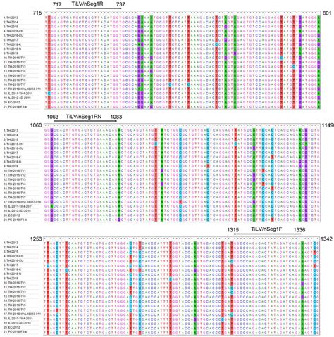 Multiple Nucleotide Sequence Alignments Of Tilv Segment 1 Pb1 Genes Of