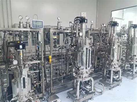 Stirred Tank Bio Reactors Have Been Designed For Fermentation