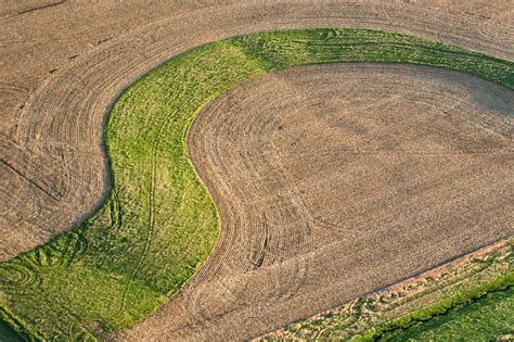 31 Facts About Contours