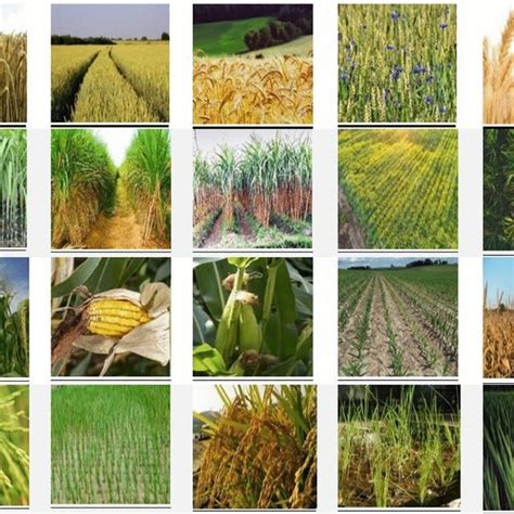 Workflow Of Proposed Composite Genetic Algorithm With Arima And Download Scientific Diagram