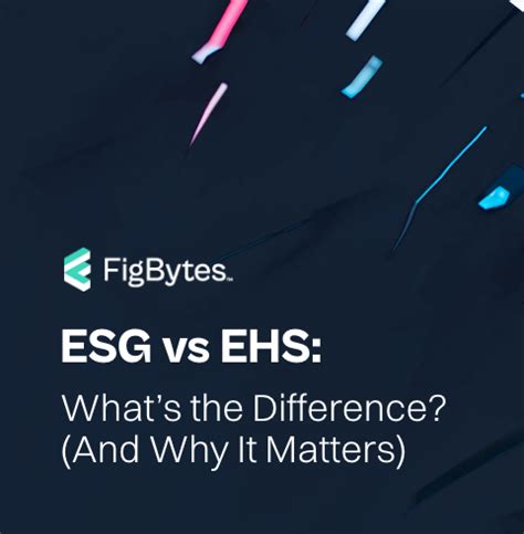 ESG Vs EHS What S The Difference And Why It Matters FigBytes