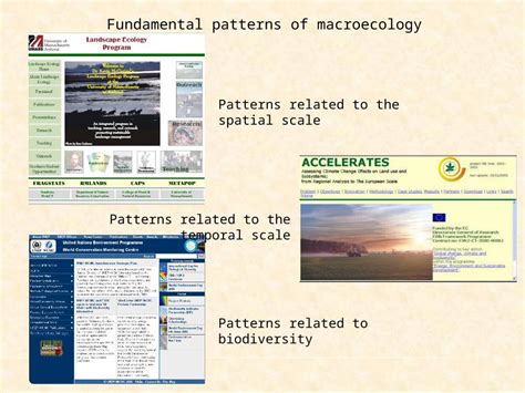 Pptx Fundamental Patterns Of Macroecology Dokumen Tips