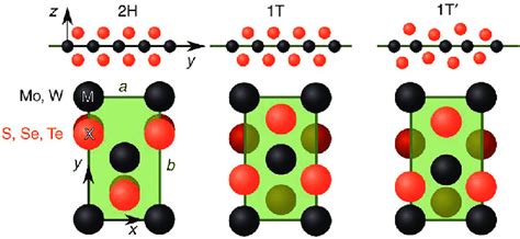 Possible Crystal Structures Of 2d Group Vi Tmds Reprinted With