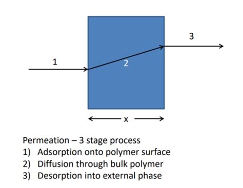 Lecture Polymer Diffusion Exam Flashcards Quizlet