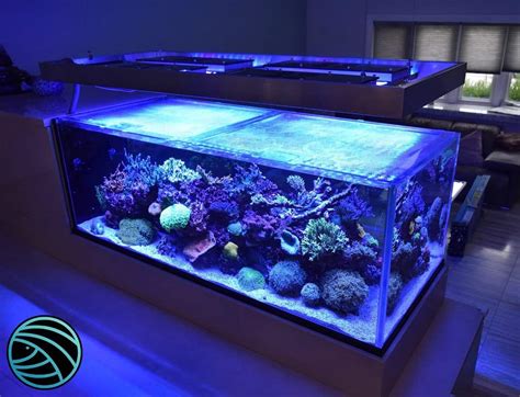 Gallery Fluid Dynamics International