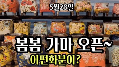 5월28일 봄봄신상 가마열렸습니다 ️꽃담다육스토리예쁜화분화분싸게파는곳다육식물多肉植物succulents다육이꽃담화분다육화분꽃담다육스토리화분 Youtube