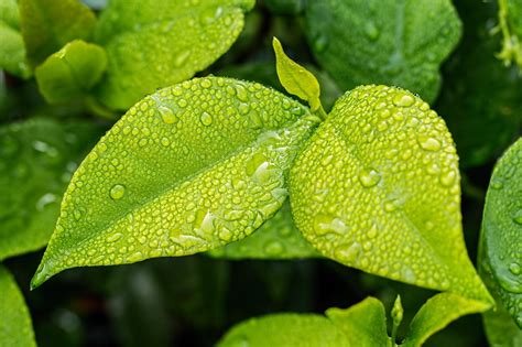 Study Shows: A Green World Is A Safe World | Greener Ideal