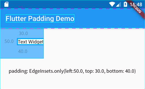 Ultimate Guide Flutter Padding Widget Example With Tutorial AndroidRide
