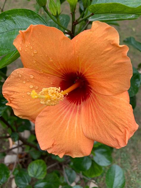 Manisha Singh On Linkedin Health Happiness