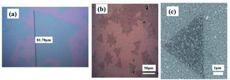 a the optical micrograph of mos2 films grown on si sio2 substrates