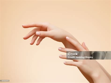 손톱에 빛 핑크 매니큐어와 아름 다운 여자의 손의 근접 촬영 이미지입니다 스킨 케어 손 매니큐어 및 미용 관리 슬림 우아한 손가락으로 우아하고 우아한 손 개념에 대한 스톡