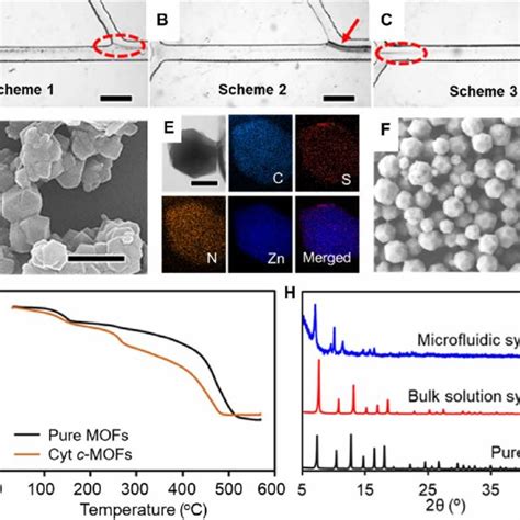 Microfluidic Flow Synthesis Of Cyt C Mof Composites With Different