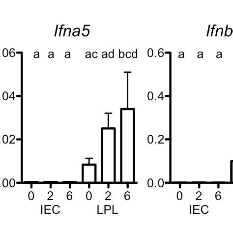 IECs are potent producers of IFN λ but not type I IFN A Base line Download Scientific