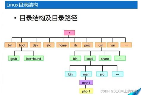 Linux目录结构linux环境下mysql57版本各目录的作用bin目录data目录support Files Csdn博客 Linux目录结构linux环境下mysql57版本各目录的作用bin目录data目录support Files Csdn博客