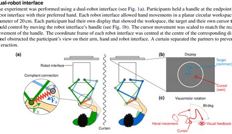 Dual Robot Interface Display And Visuomotor Rotation Paradigm A