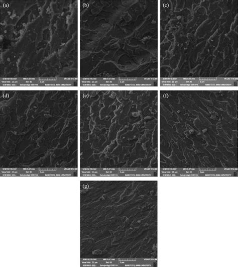 Scanning Electron Micrographs Of The Fractured Surfaces Specimen P Download Scientific Diagram