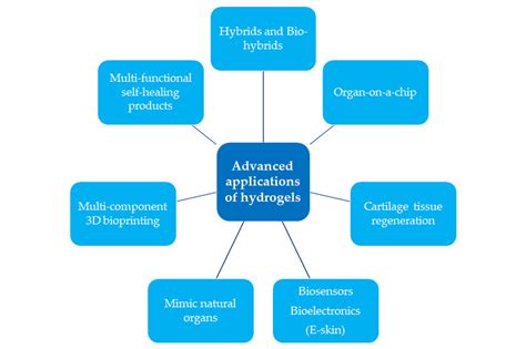 The Advanced Applications And Future Direction Of Hydrogels Download Scientific Diagram
