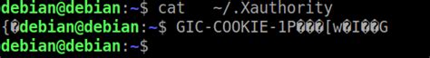 X Invalid MIT MAGIC COOKIE Keyxhost Unable To Open Display Unix Linux Stack Exchange
