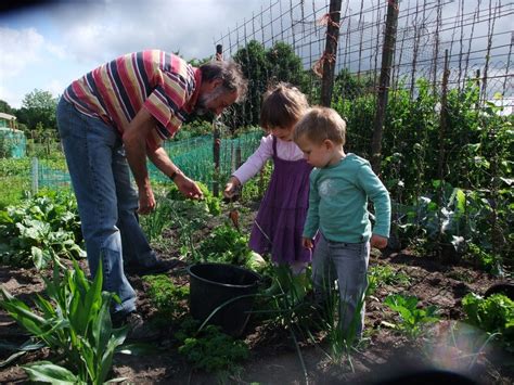 Pieter Schuift Aan Bij Harry Kalis Veghel In Beeld