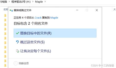 探索未被大众熟知的数学神器：maple的强大功能与应用 Csdn博客
