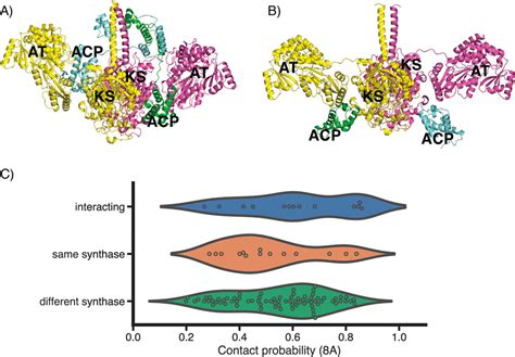 Module Based Polyketide Synthase Engineering For De Novo Polyketide Biosynthesis Acs Synthetic