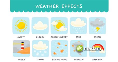 Difference Between Weather And Climate Biomadam