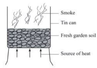 The Set Up Shown Below Can Be Used To Investigate The Presence Of A Certain Component Of Soil