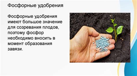 Удобрения Понятие удобрения презентация онлайн