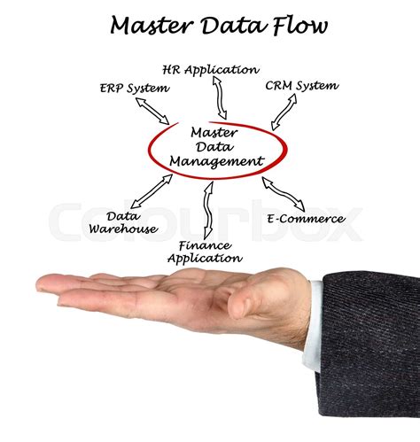 Diagram Of Master Data Flow Stock Image Colourbox