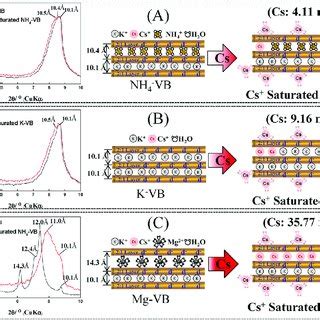 Comparison Of XRD Patterns Left And Assumed Conformational Cartoons Download Scientific