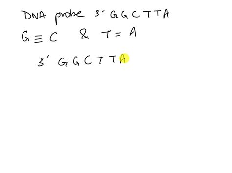 Solved Question 6 Names Tuna Hasan Gorkem Zeynep Baha