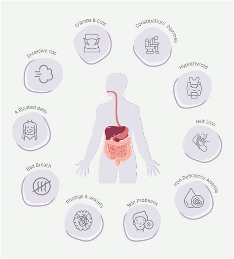 SIBO Vs IBS What Is The Main Key Difference Dr Fajer AlJumairi