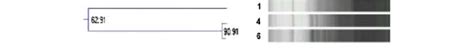Phenogram Based On Average Linkage Cluster Analysis Of Electrophoretic