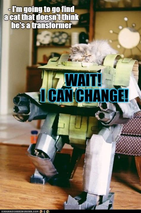 Dont Go Bot Lolcats Lol Cat Memes Funny Cats Funny Cat Pictures With Words On Them