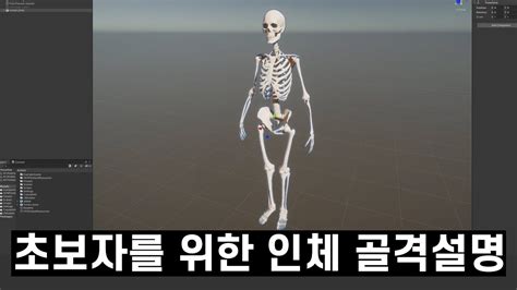 왕초보를 위한 인체 그리기 3 8부록강좌 youtube